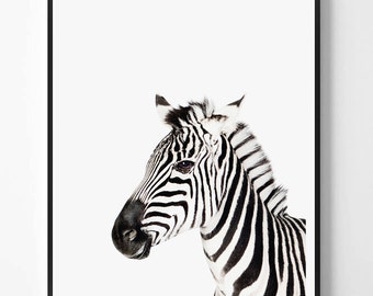 Zebra print | Etsy