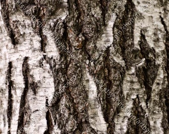 Tree bark pattern | Etsy