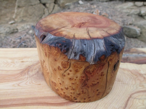 Natural Wood Alligator Juniper Burl Pet Urn or Memorial