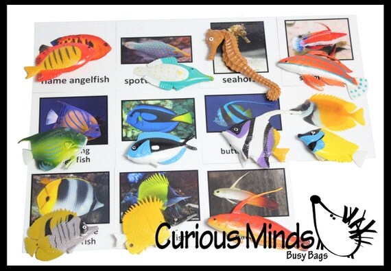 Montessori Animal Match Miniature Tropical Fish with
