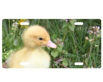 Duck license plate | Etsy