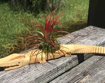 Alligator planter | Etsy