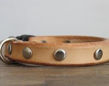 Unique fancy cat collar related items | Etsy