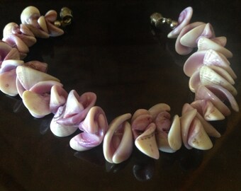 Curly sea shells | Etsy