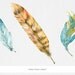 Tribal Feathers Clip Art Bird Feathers Watercolor Sticker