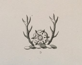 Heraldic rose | Etsy