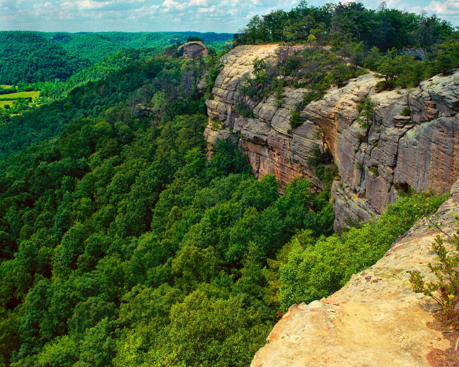 Auxier Ridge in the Gorge