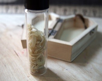 Jar of Human Toenails Art by stampedepress on Etsy