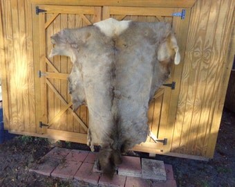 Deer hide | Etsy