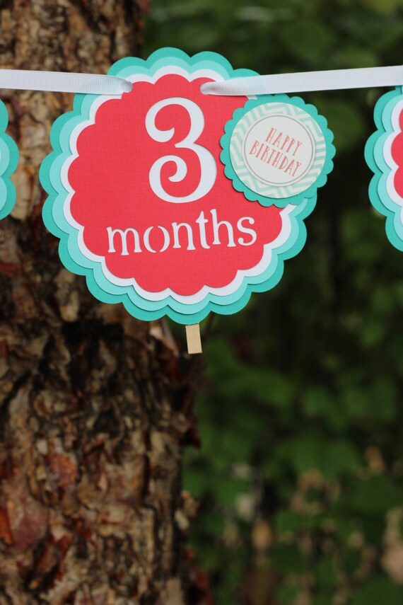 Boy or Girl 1st Birthday 12 month photo memory banner. Aqua
