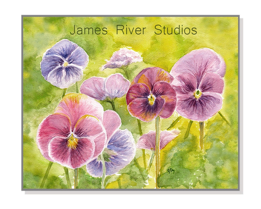 Pansy Painting Pansy Art Print Pansy Watercolor Pansy Print