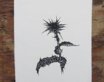 Botanical drawing | Etsy