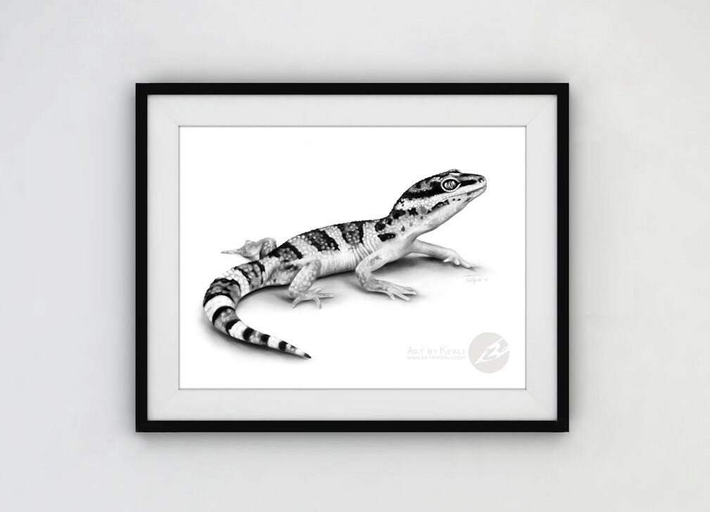 Leopard Gecko pencil drawing ORIGINAL Art by Kerli