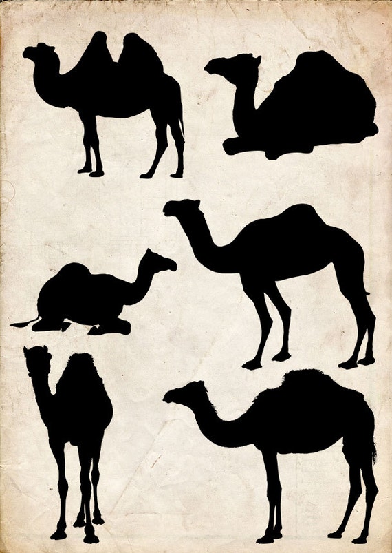 Camel Silhouette 6 png Clipart Instant Download clipart