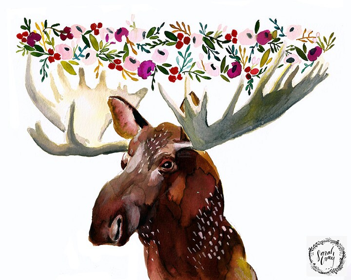 Moose Illustration