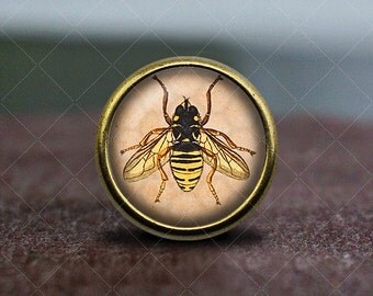 Bee drawer pulls | Etsy