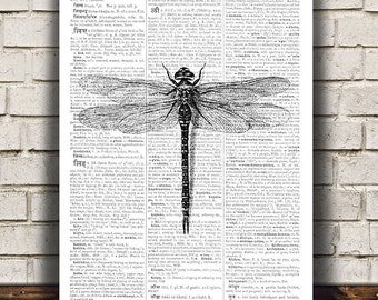 Bug art print | Etsy