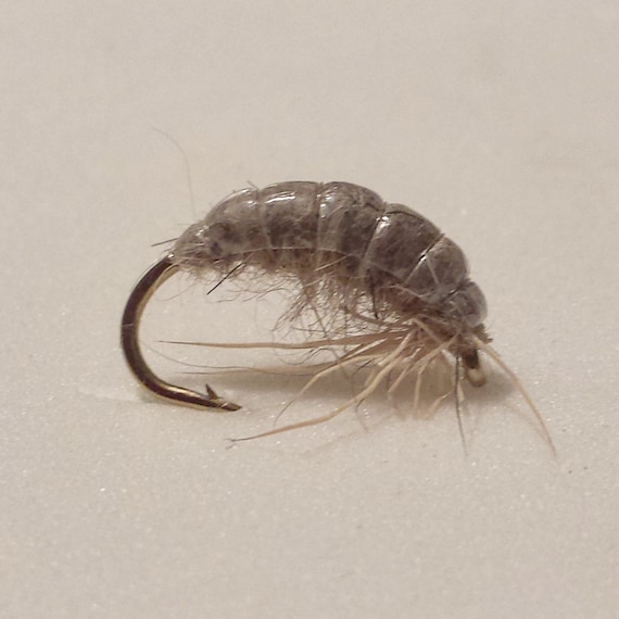 scud nymph fly fly fishing fly trout scud by FlyDaddyCustomFlies