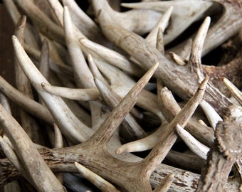 Antlers | Etsy