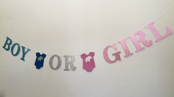Gender Reveal Banner Boy or Girl Banner Baby by blueberrysprinkles