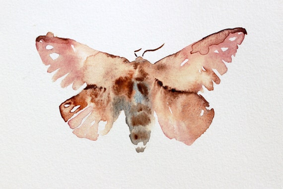 moth . original watercolor painting