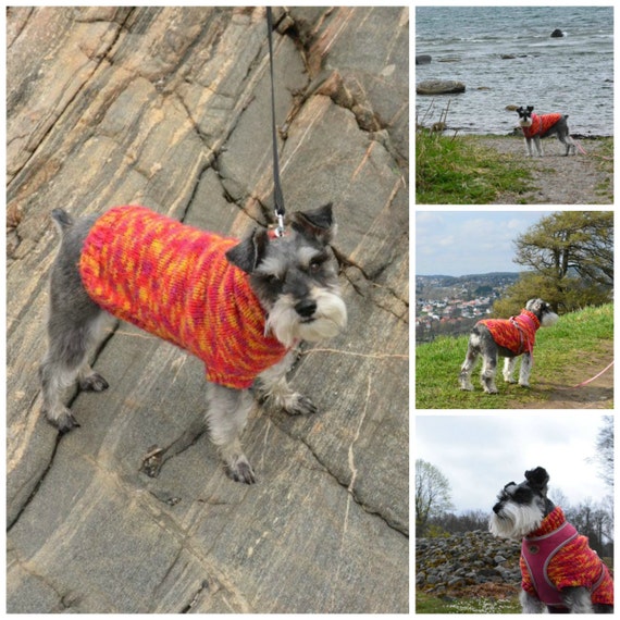 Dog Sweater Knitting Pattern dog-sweater-knitting-pattern