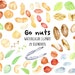 Watercolor Clipart Go Nuts Nut illustration cashewwalnut