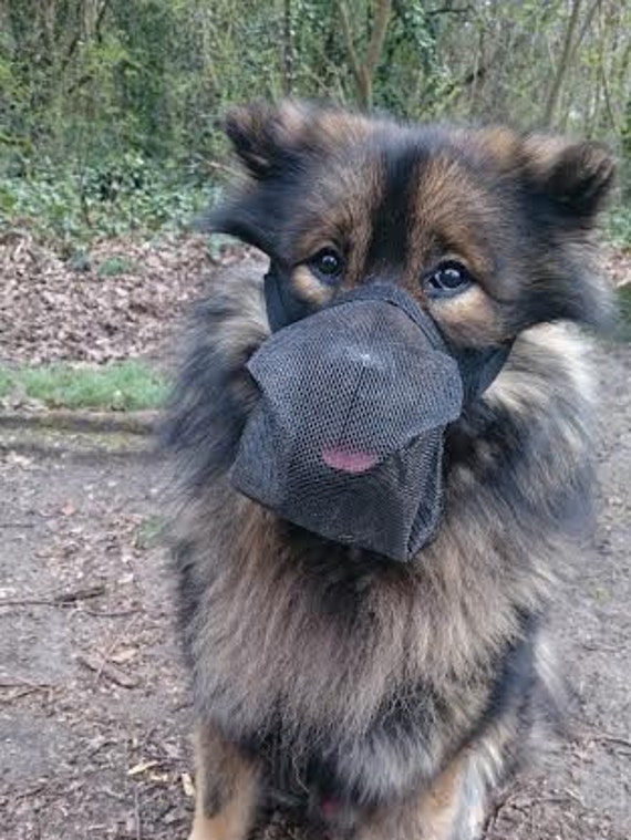 Smuzzle: A soft muzzle that lets your dog by SmuzzlesbySilliIlli