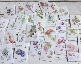 Unique mini postcard related items | Etsy