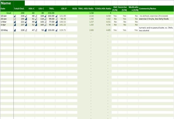Cholesterol Diary Excel Template Cholesterol Levels by Excel4U