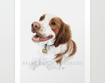 Brittany spaniel art | Etsy