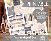 Hand drawn/painted Planner Stickers by ilove2print on Etsy