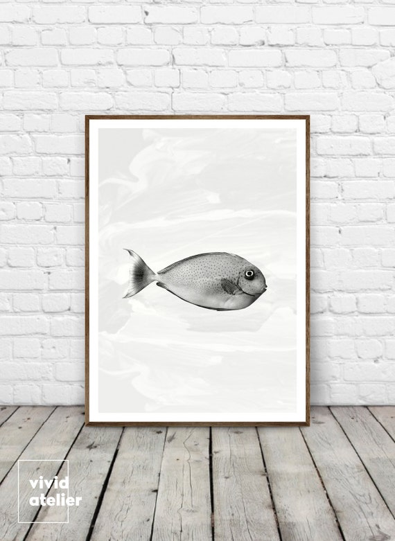 Fish Print Fish Photo Aquarium Printable Wall Art by VividAtelier