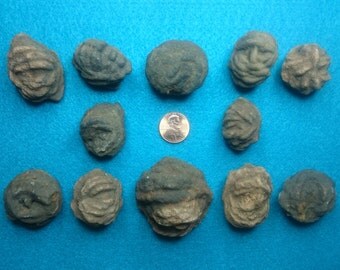 Oklahoma rose rock | Etsy