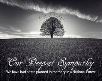 Send a Card & Plant a Tree in a U.S.A. National by PlantTreesUS