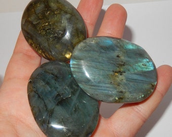 Unique madagascar palm related items | Etsy