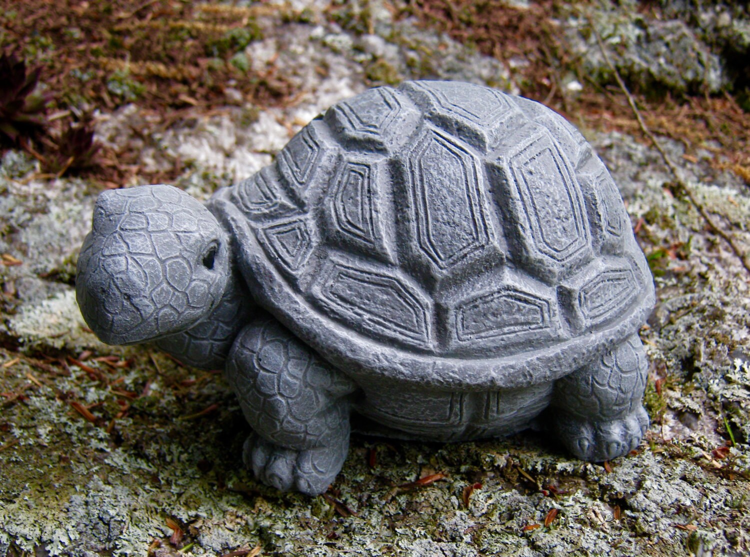 Turtle Statue Concrete Cement Turtles Painted Turtle Cement