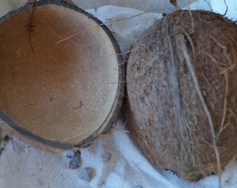 Coconut shell | Etsy