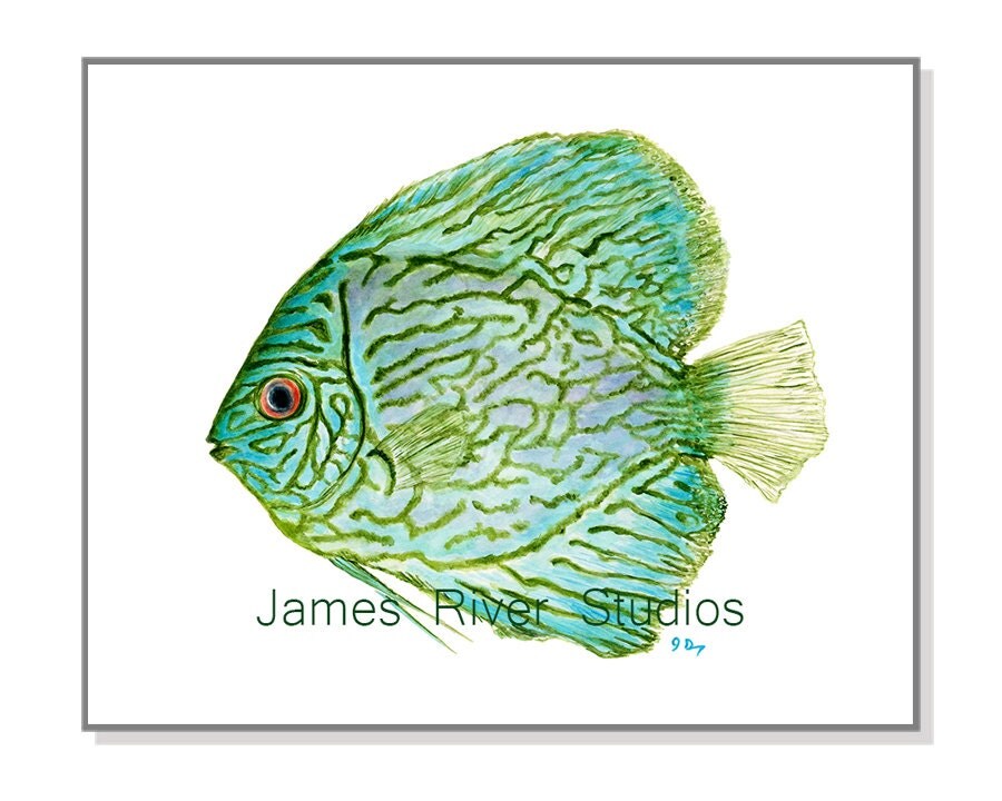 Tropical Fish Art Fish Painting Fish Print. Tropical Painting