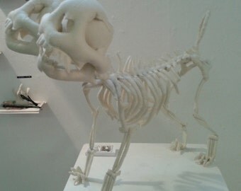 Dog skeleton | Etsy