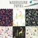 Hand painted watercolor paper set / digital by LisaGlanzGraphics