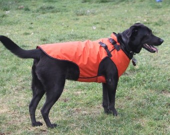 Dog raincoat | Etsy