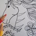 unicorn adult kids coloring page horse единорог download