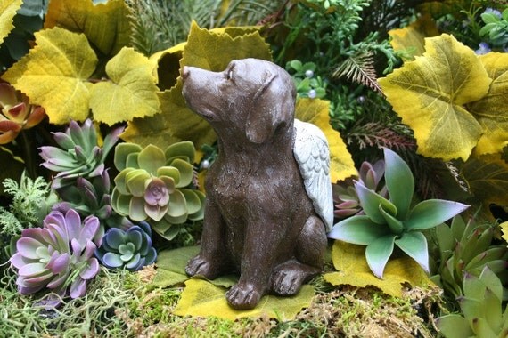 Chocolate Lab Dog Angel Chocolate Labrador Retriever