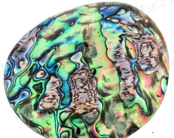 Drilled abalone | Etsy