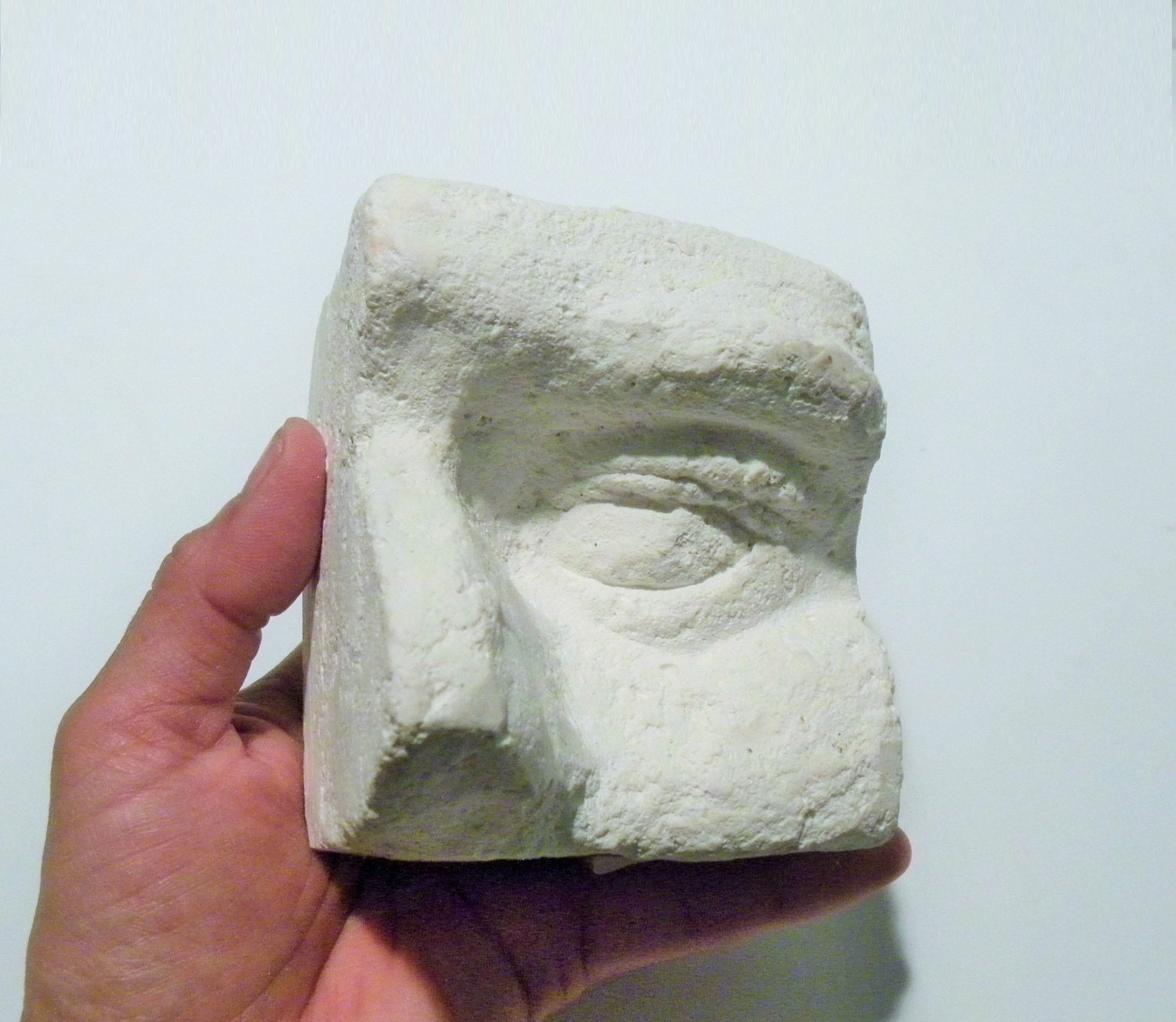 Anatomy Plaster Cast / Human Eye Artist Anatomy by FieldsOfVintage