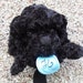 Personalised Cockapoo dog Golf headcover Novelty Animal