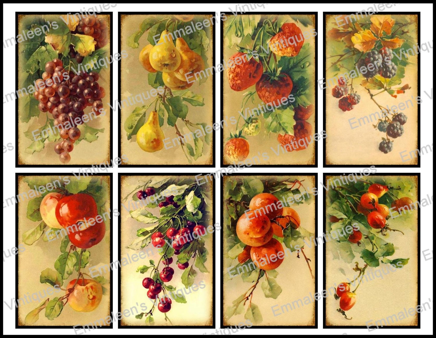 8 Vintage Grunge Victorian Vintage Fruit by emmaleensvintiques