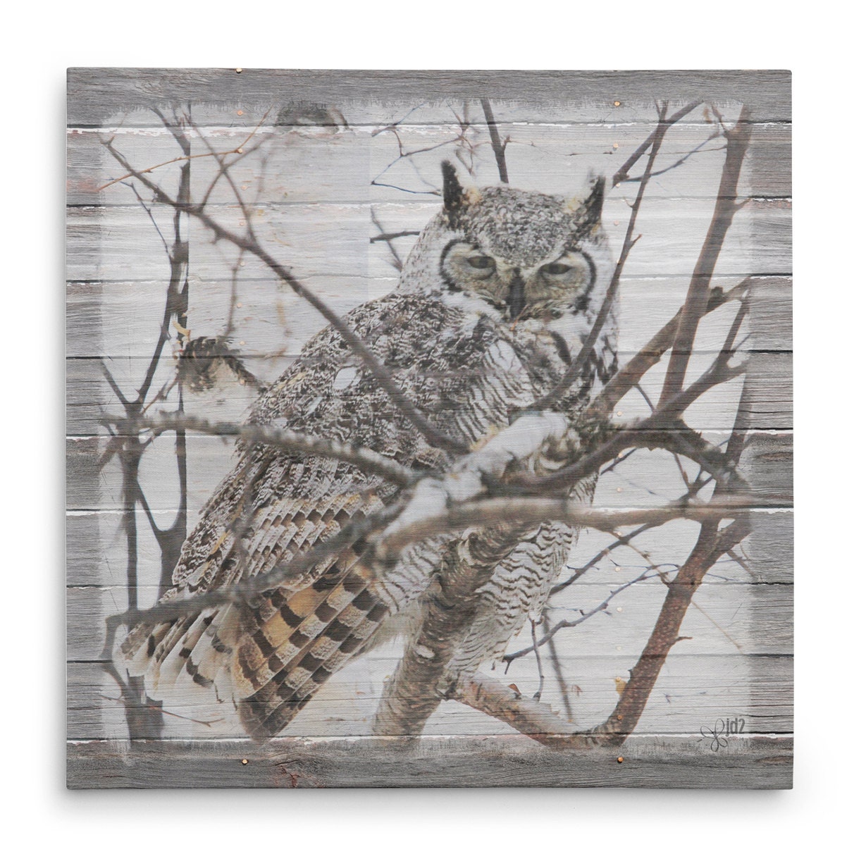 Great Horned Owl Canvas Print Owl in Tree by JennDitterichDesigns