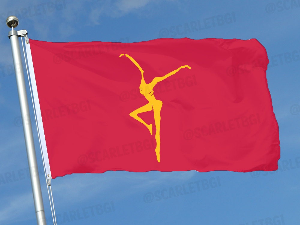 Dave Matthews Band DMB Firedancer Flag